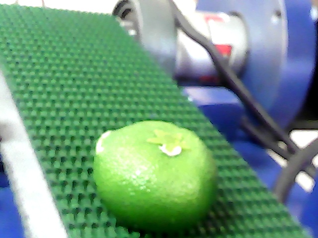 Orange Detection Object Detection Dataset By Project F9smj