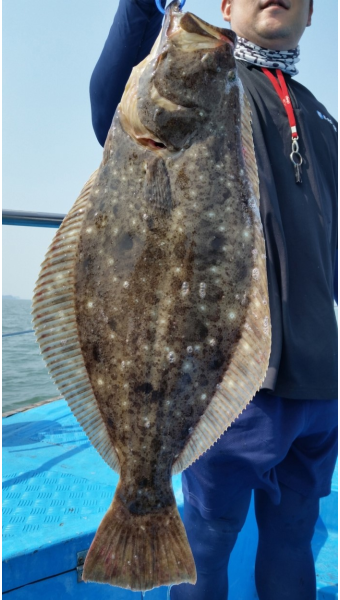 asdq Object Detection Dataset by asdqw