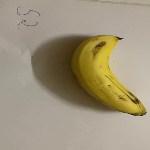 Food Spoilage Detection using YOLO - Roboflow Universe