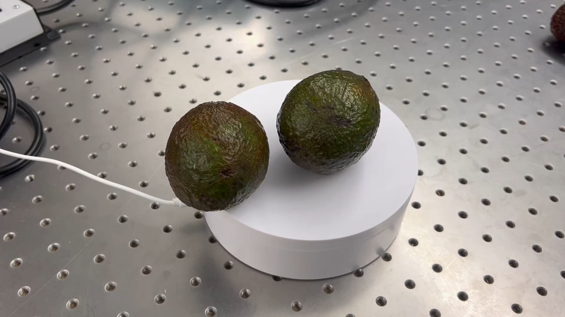 Avocado Hyplex Object Detection Dataset And Pre Trained Model By Hyplex