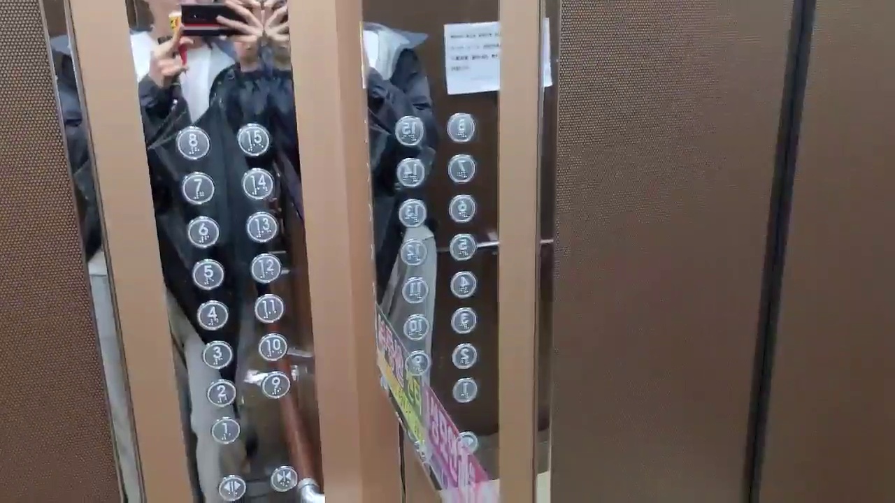 mirrordetection - Roboflow Universe