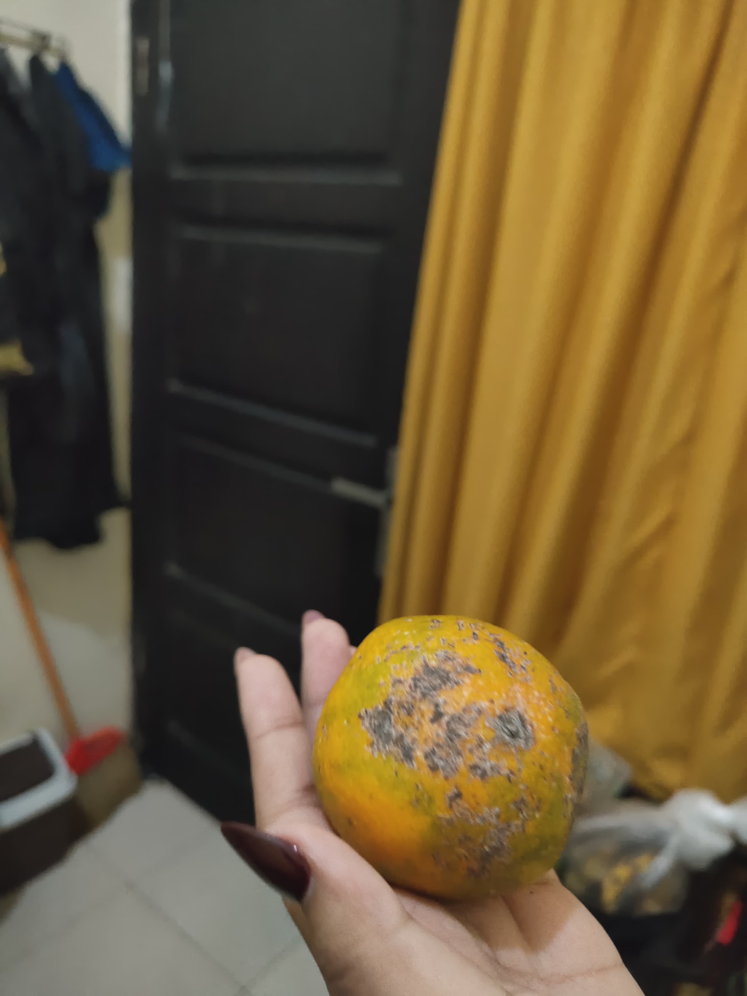 fruit detection Object Detection Dataset and Pre-Trained Model by waleed khawar