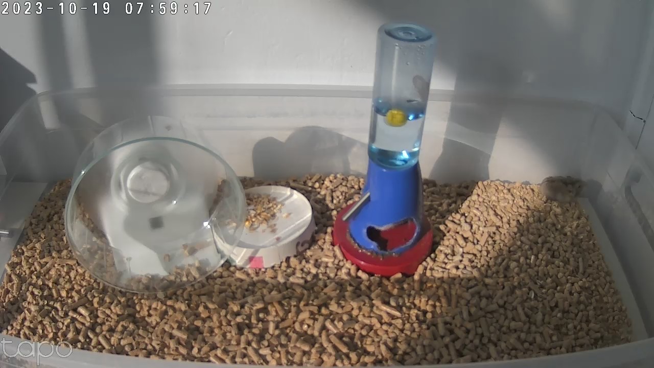 Mice Model2 Object Detection Dataset By Project Ioo6l