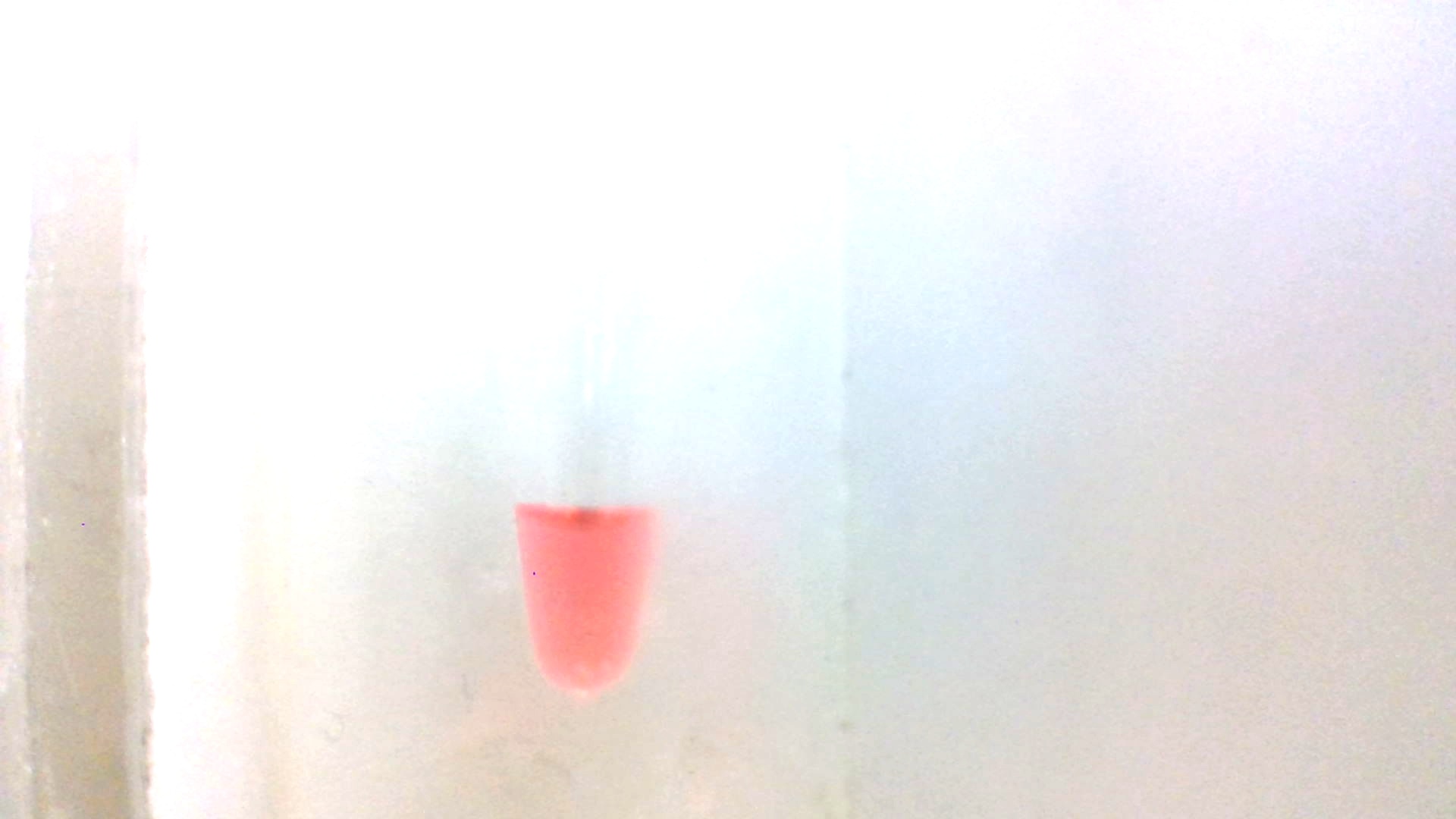 ColorimetricLAMP Object Detection Model by Detection