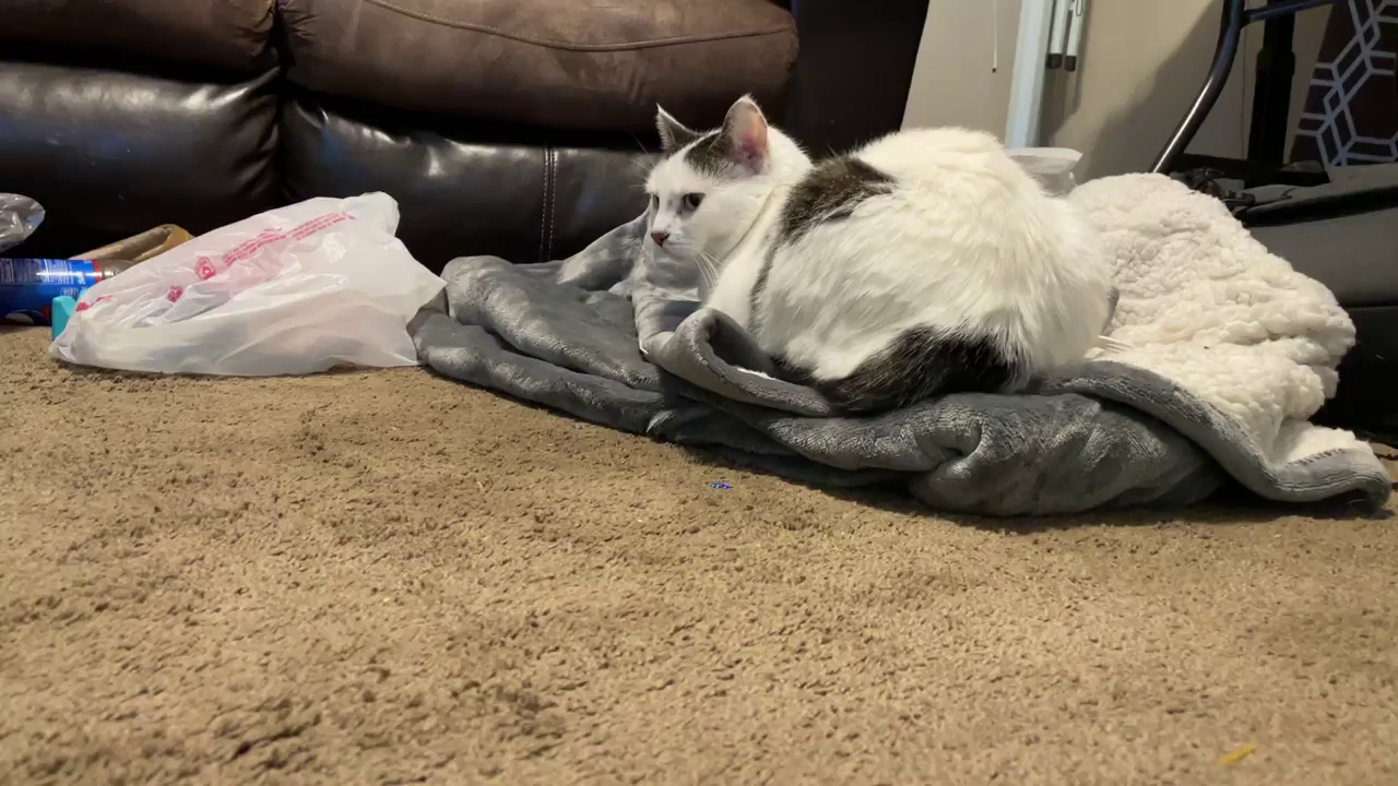 13640769 Object Detection Dataset By Batch 05