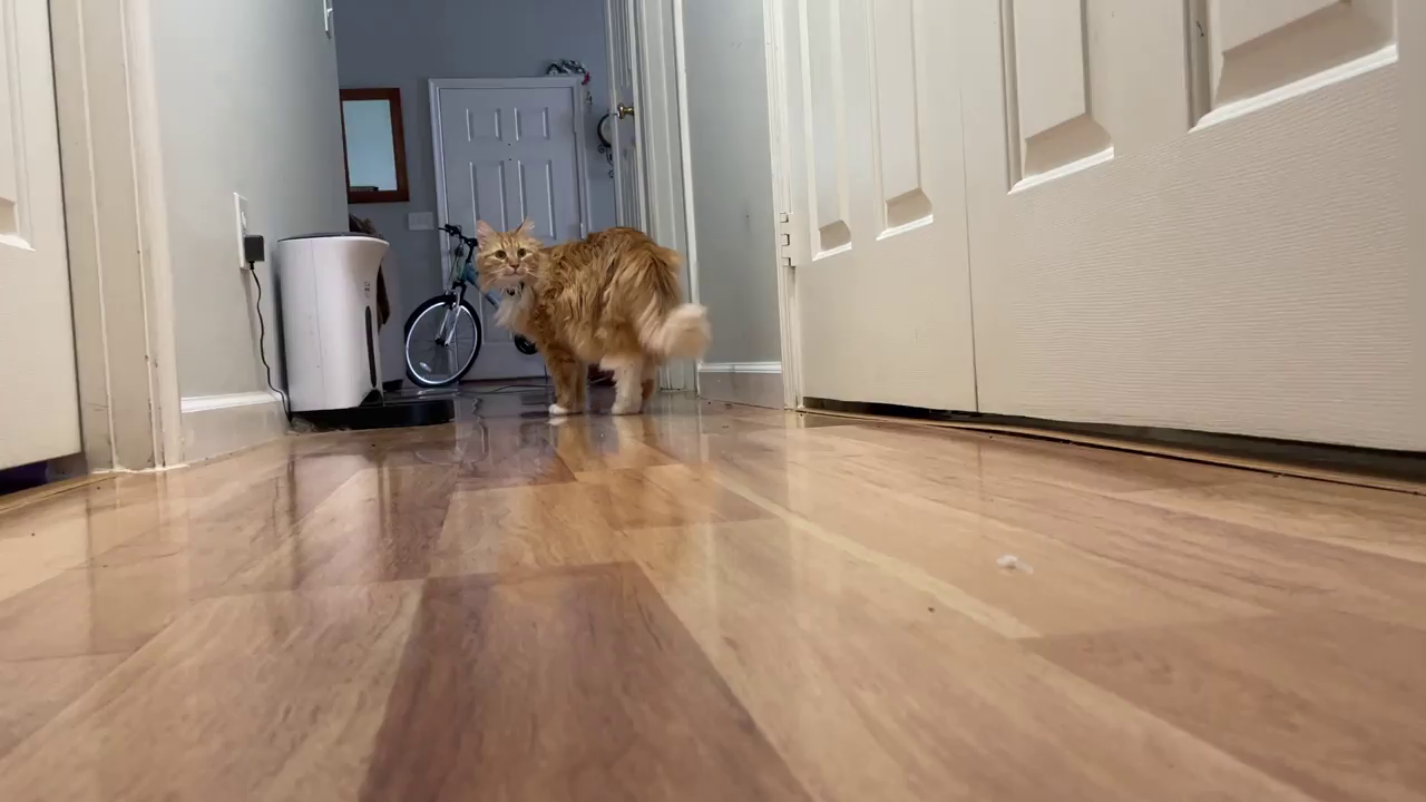 13536051_1 Object Detection Dataset by batch 05