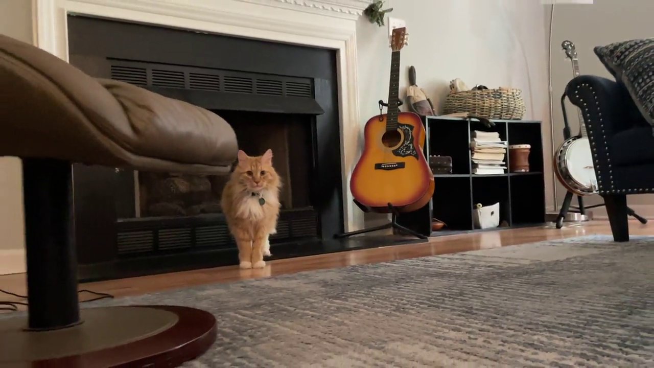 13536051 Object Detection Dataset By Batch 05