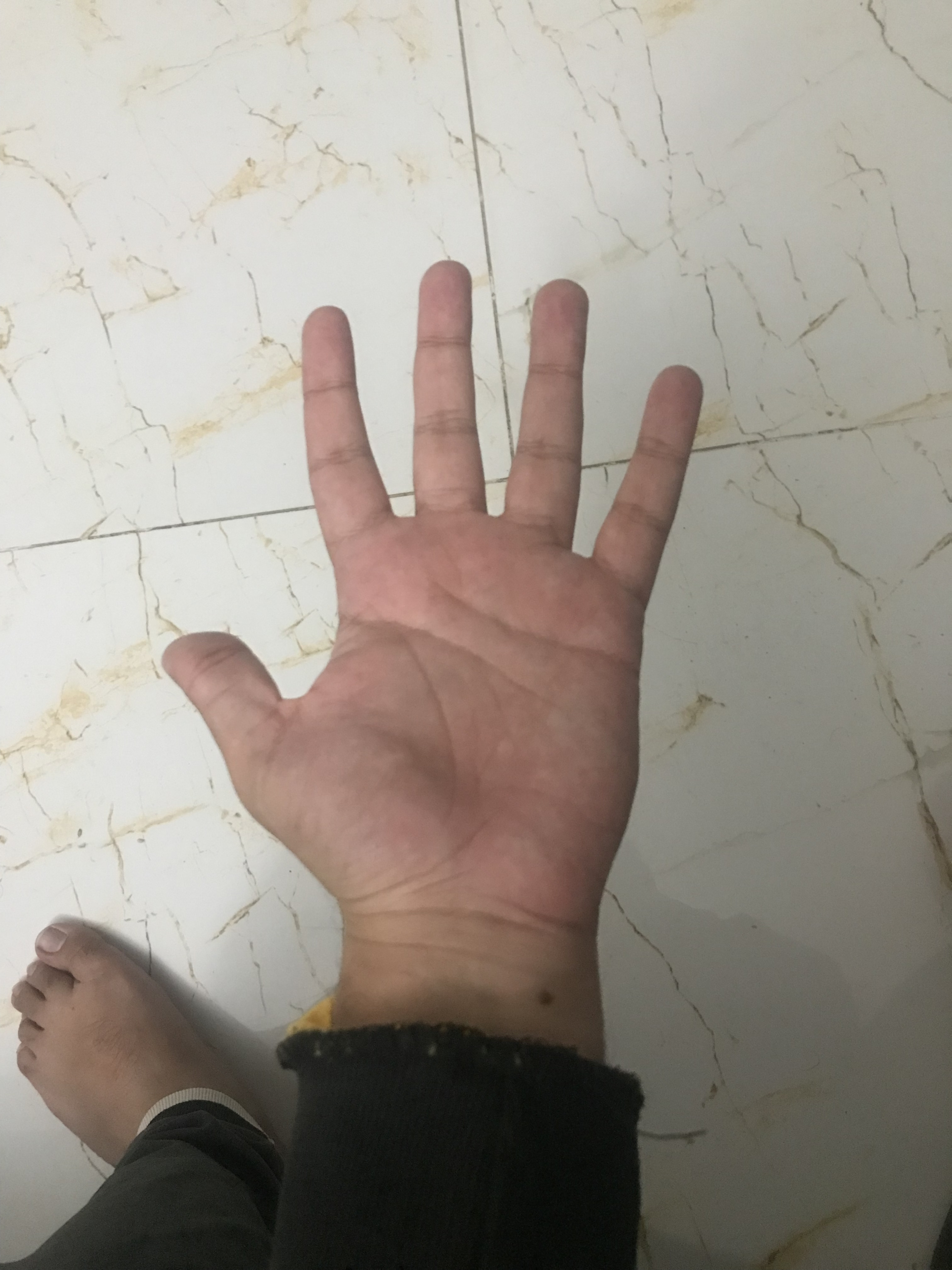 Palmprint Detector Object Detection Dataset And Pre Trained Model By Palmprint Detection