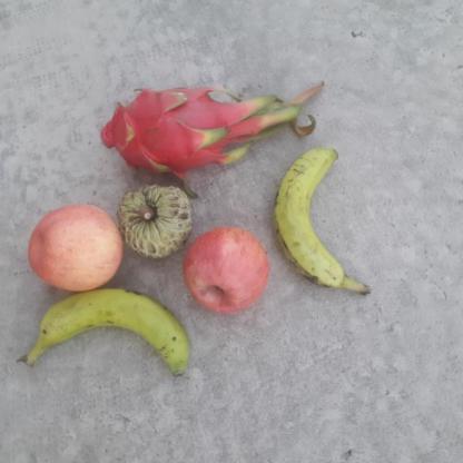 fruits Object Detection Dataset and Pre-Trained Model by zakirkx12