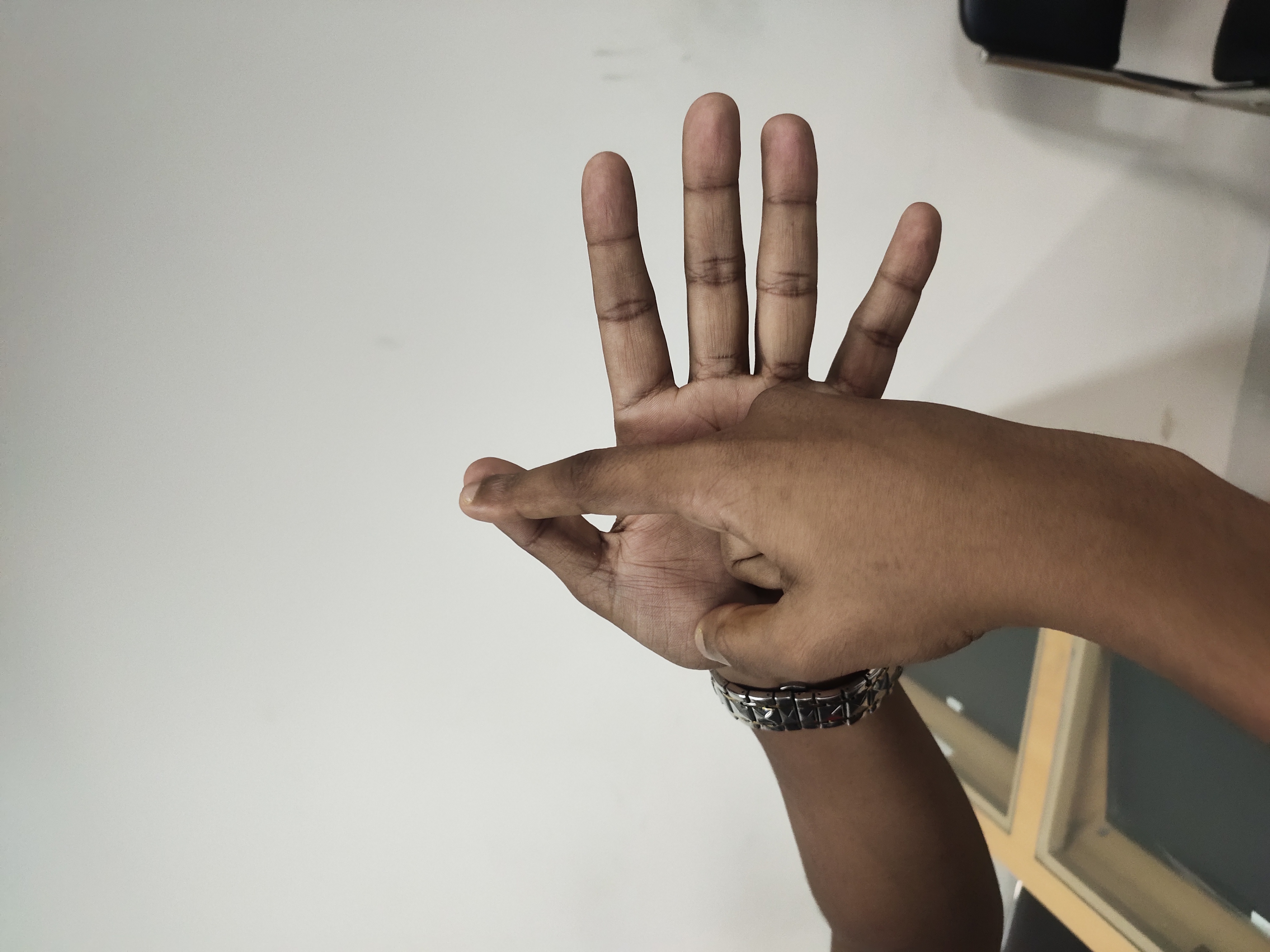 bangla-sign-language-model Object Detection Dataset by sojeb-sikder