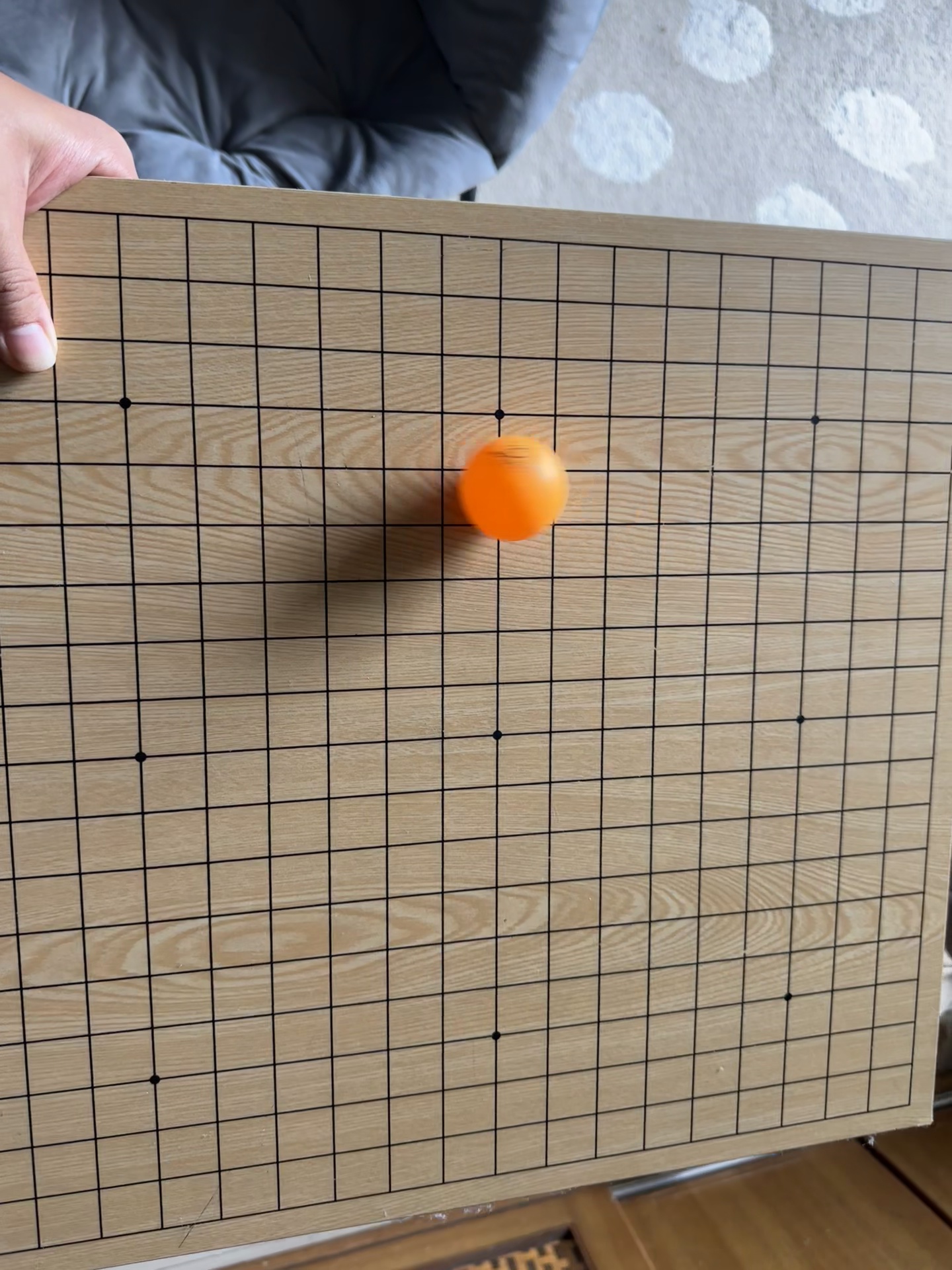 BB Object Detection Model by peter