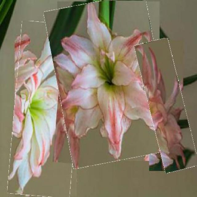 20221119 Object Detection Dataset V1 20221119v1 By Yolov5test