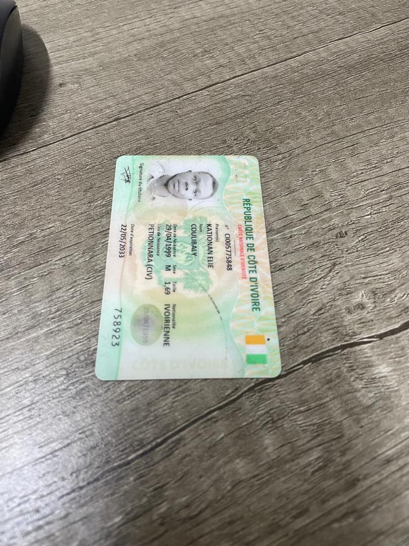 id card sement Instance Segmentation Dataset by Kationan