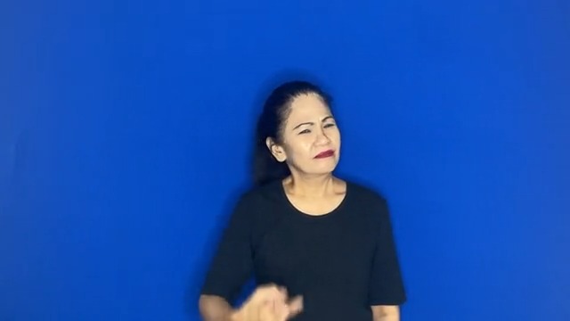 FSL_DATASET Object Detection Dataset by CAPRICORNUS