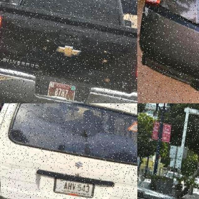 Test Object Detection Dataset And Pre Trained Model By 20241005