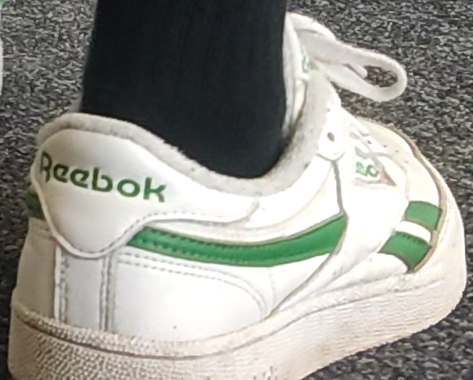 Shoe Classification Classification Model by Shoeclass