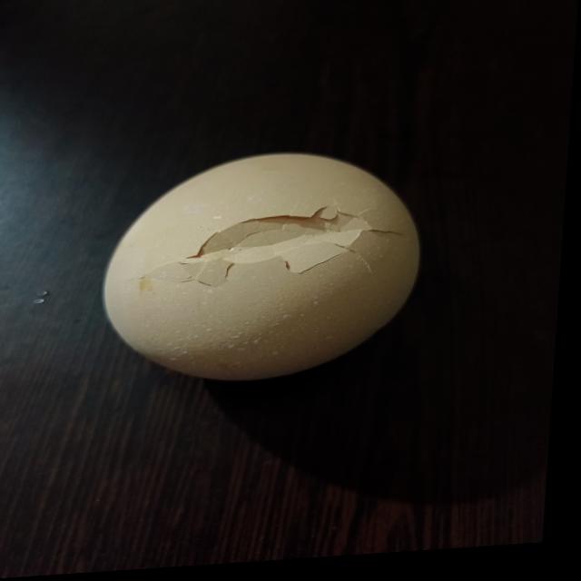 Egg Crack Detection Object Detection Dataset And Pre Trained Model By G