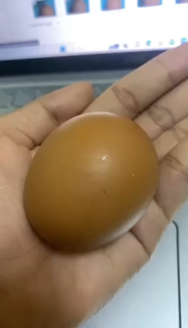 egg Object Detection Dataset by preamkamon