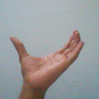 How to Use the Indian sign language Object Detection API