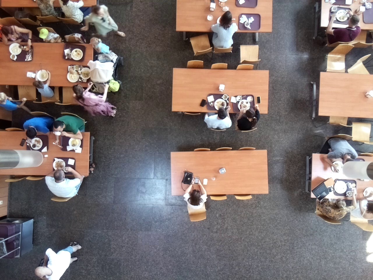 Detect Count And Visualize Object Detection Object Detection Dataset 