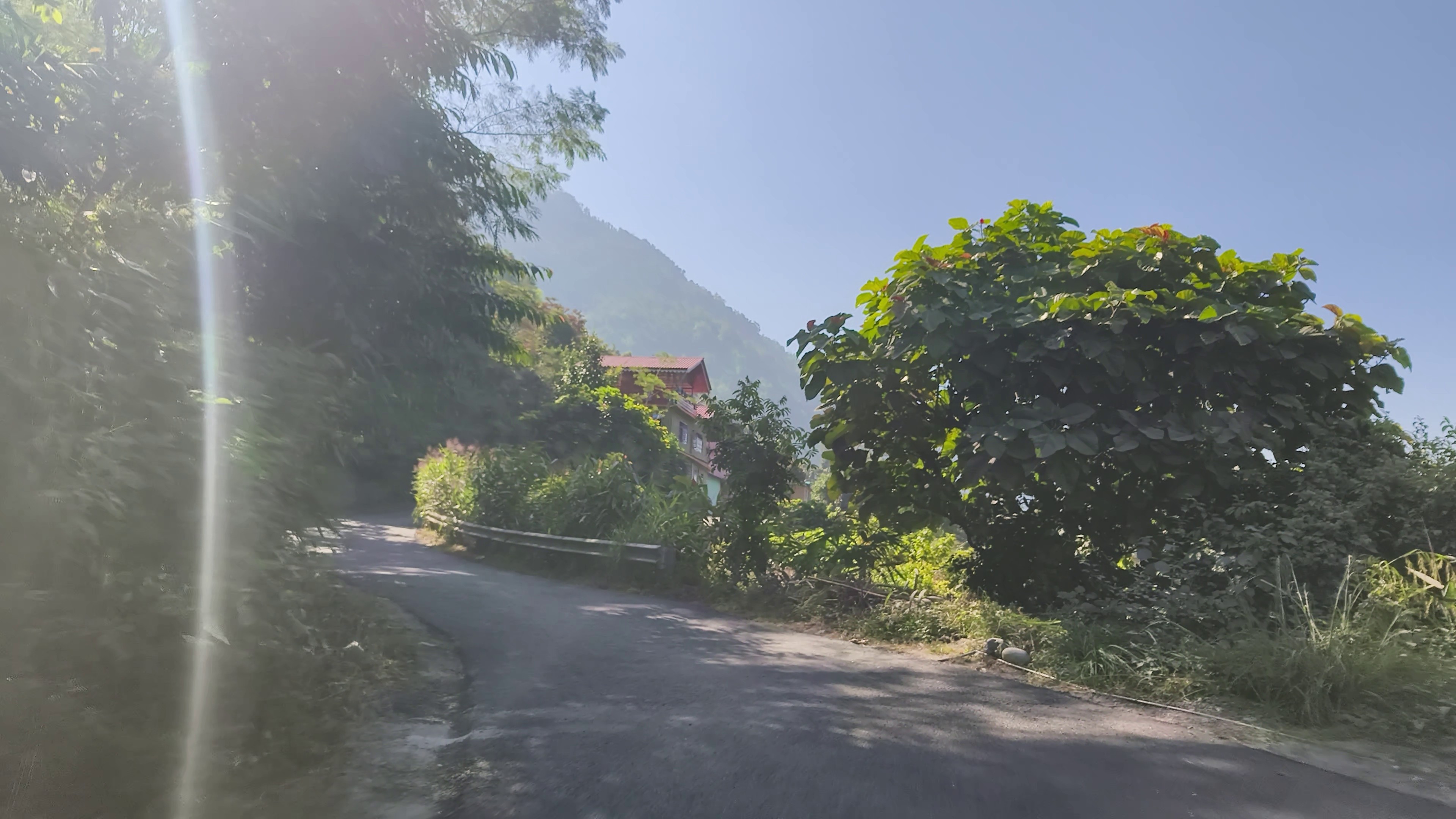 Road defects Object Detection Dataset by tree and pole detection