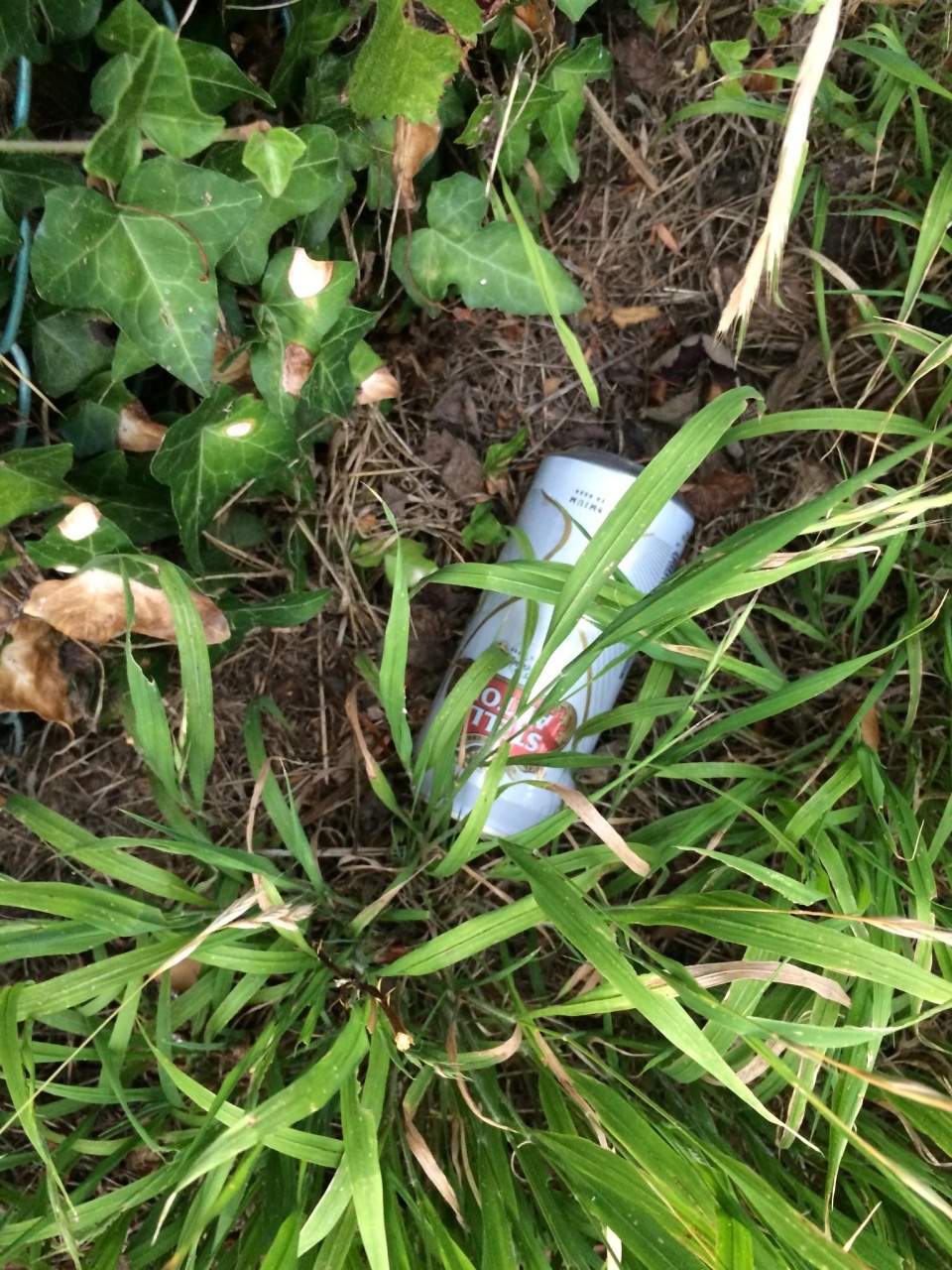 Taco Trash Detection Object Detection Dataset By Warsaw University Of Technology