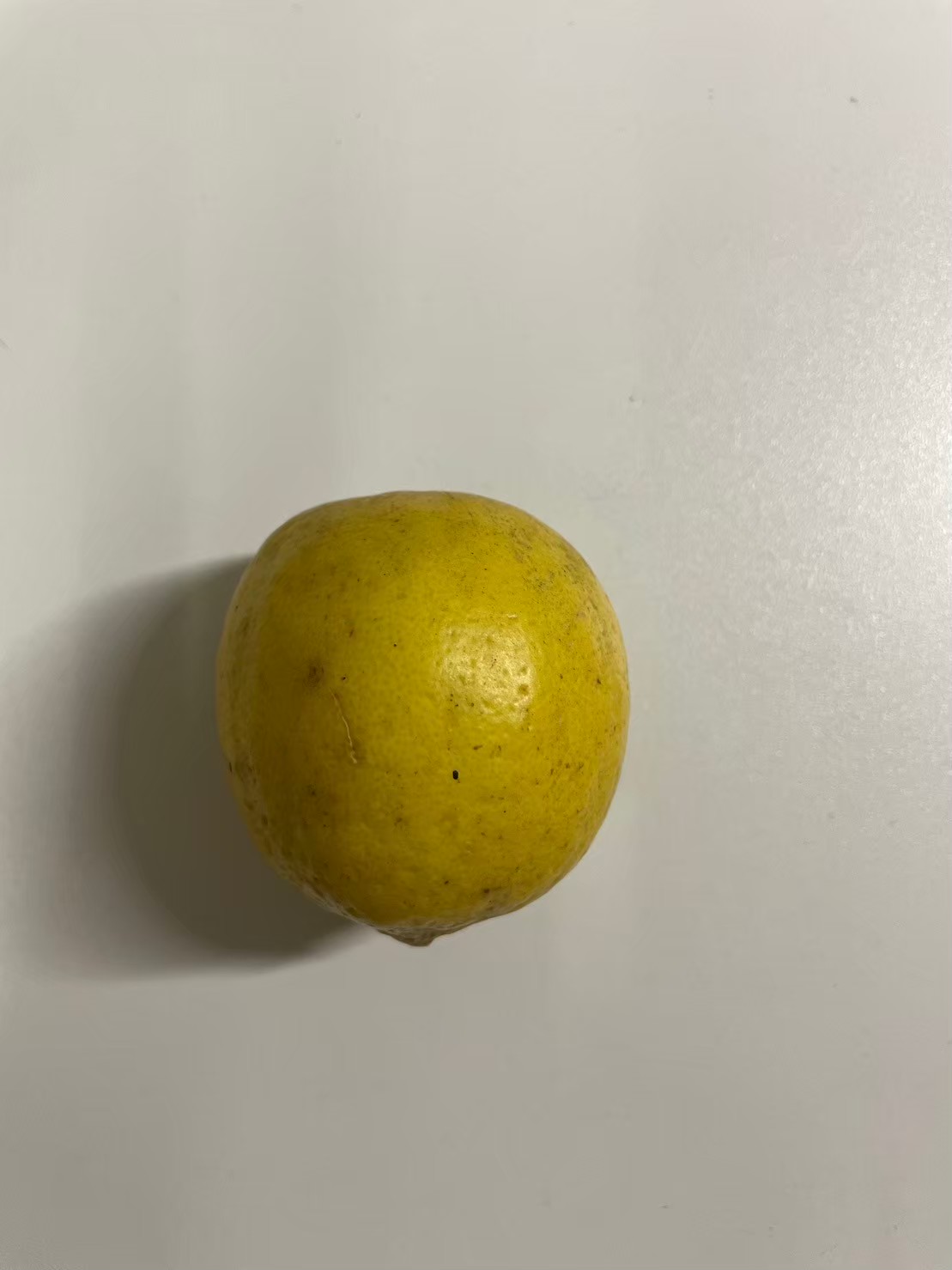 lemon-object. Object Detection Dataset and Pre-Trained Model by ...