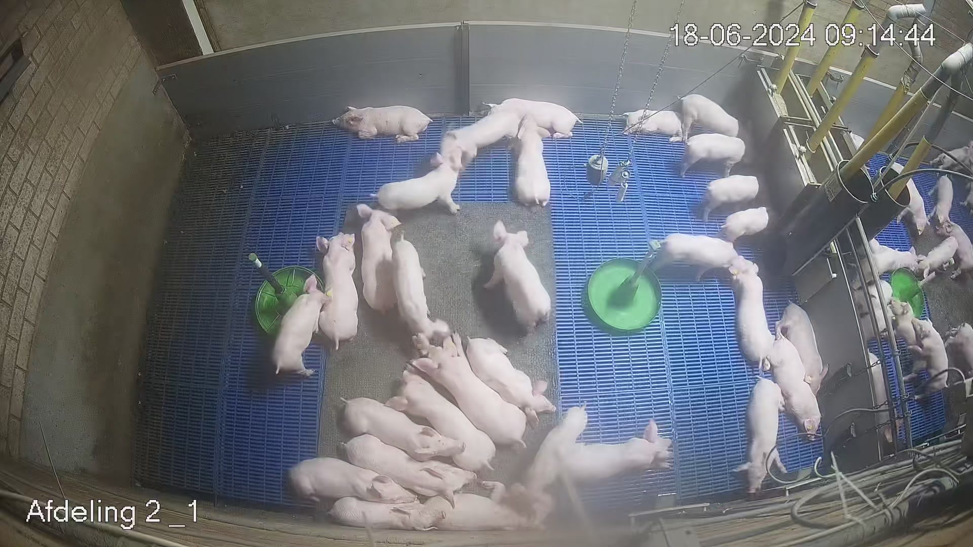 Enlabeler Hackathon - Roboflow Universe