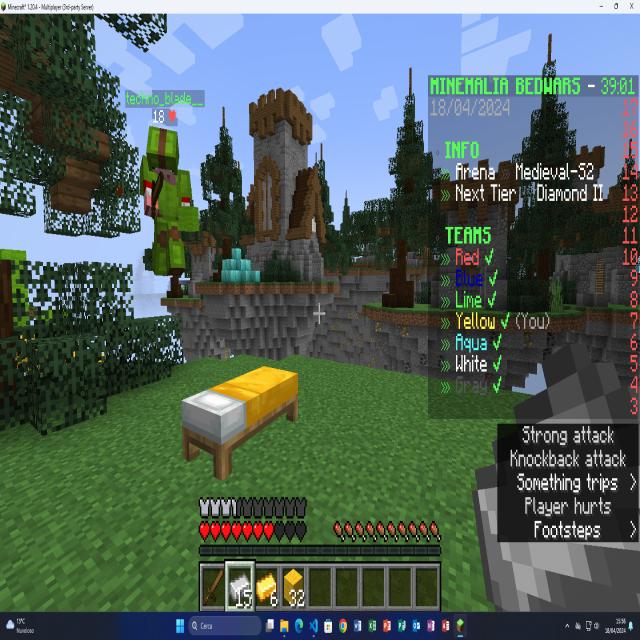 MC Player Dataset Object Detection Dataset and Pre-Trained Model by minecraftplayerdataset