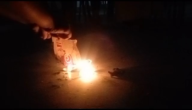 How to Use the fire detc Object Detection API