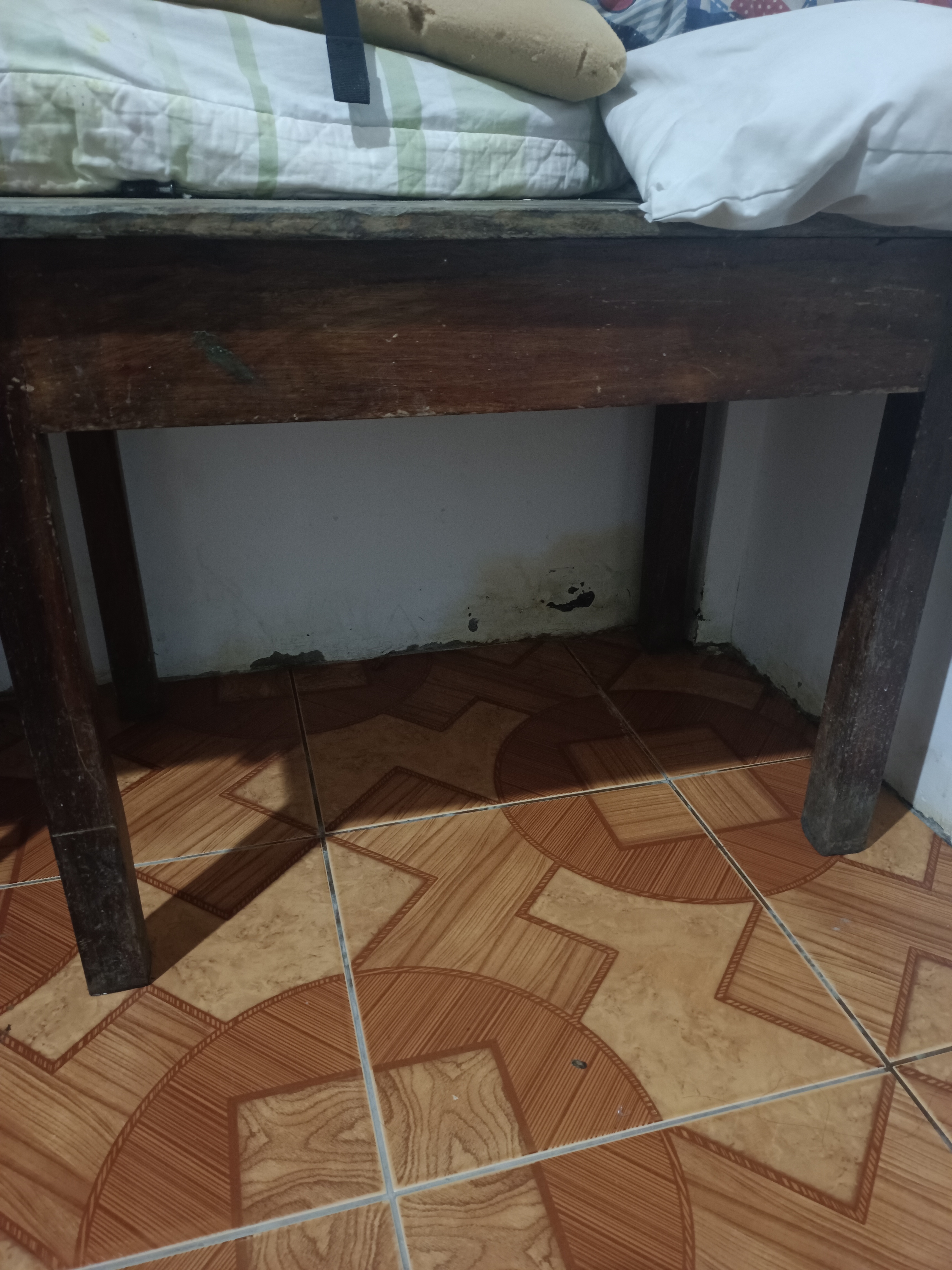 Raw Object Detection Dataset by Thesis
