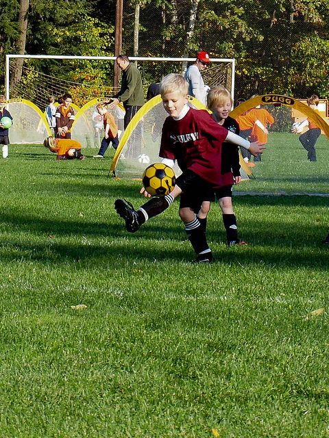 pose Keypoint Detection Dataset by Fast