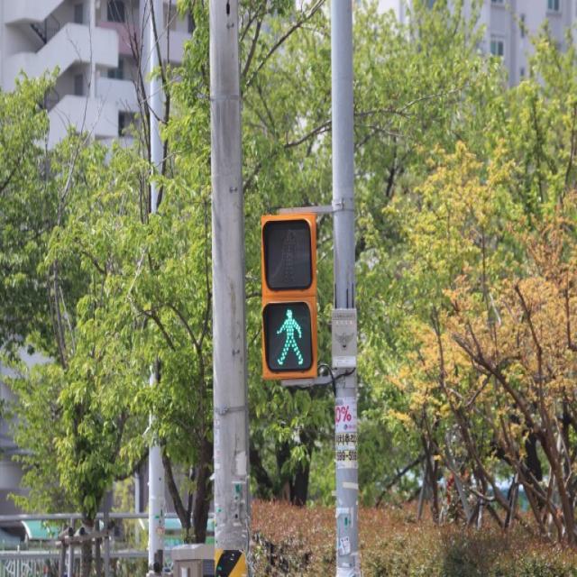 Traffic Light Object Detection Dataset By Btnkm
