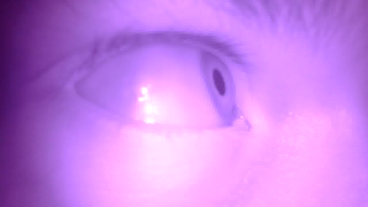 zxcz Object Detection Dataset by Szymon Zych