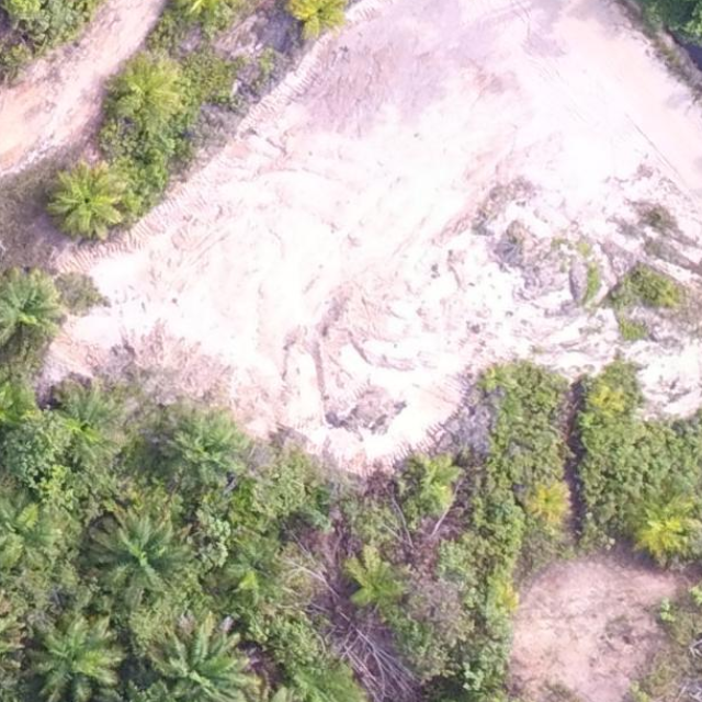 Deteksi Sawit Object Detection Dataset by GeoAI