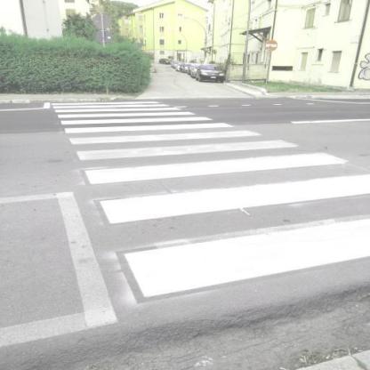 Crosswalk Object Detection Dataset by Nota Bota