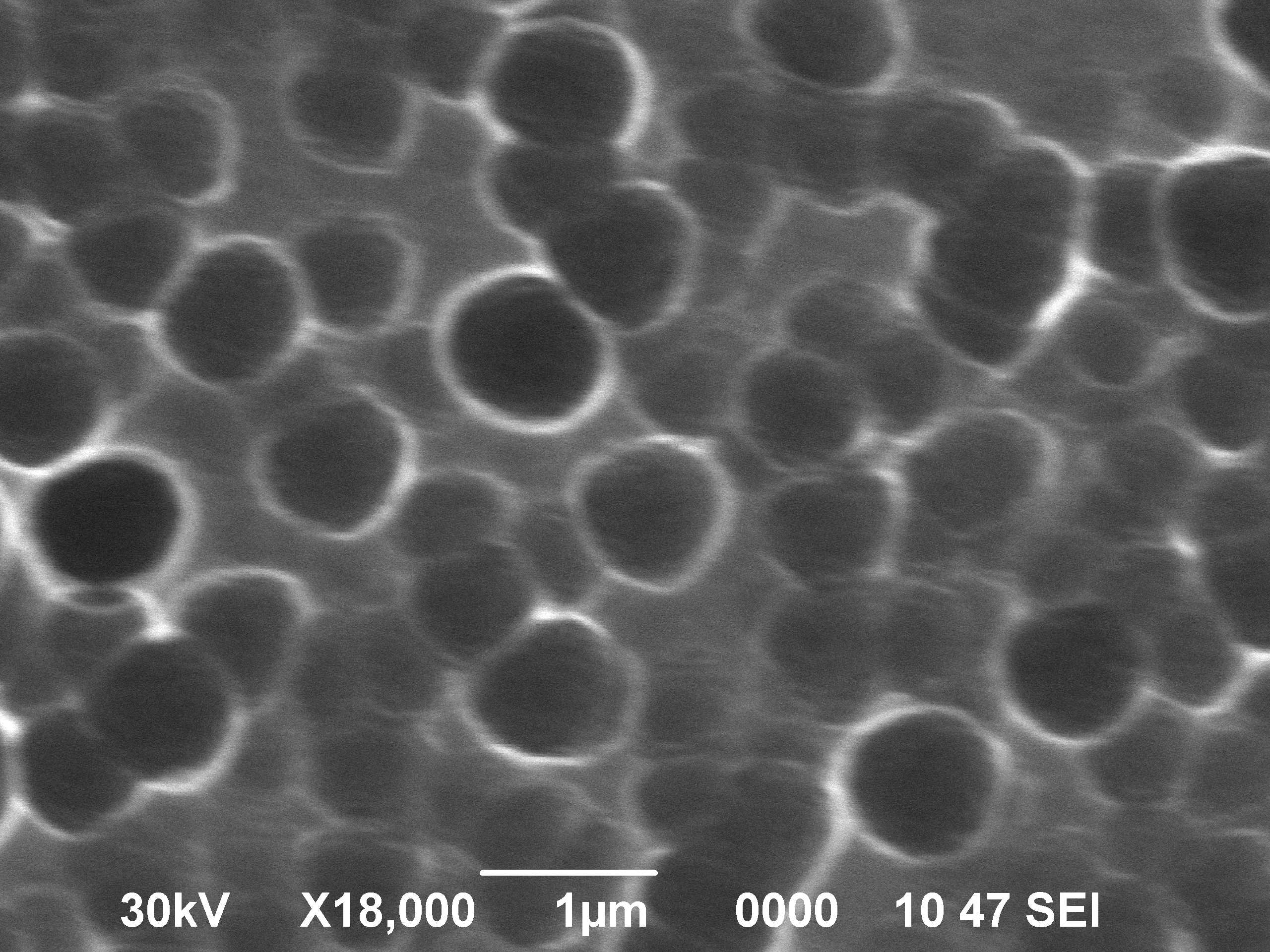 Lab (lab-6ldor) - Roboflow Universe