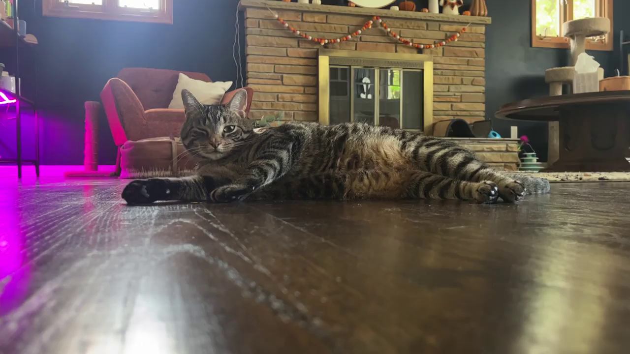 13948329 Object Detection Dataset By Batch 04