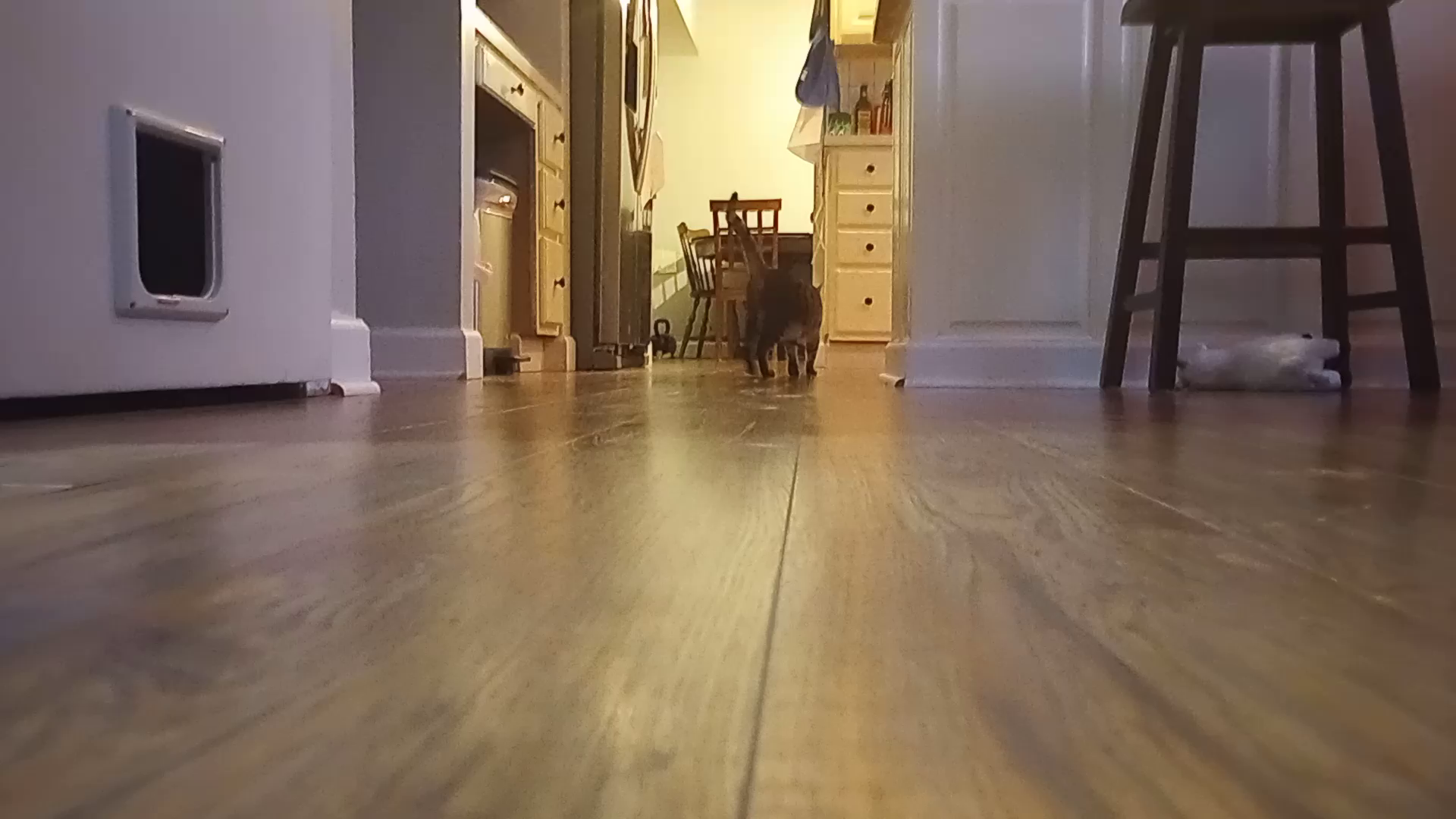 10148481 Object Detection Dataset By Batch 04