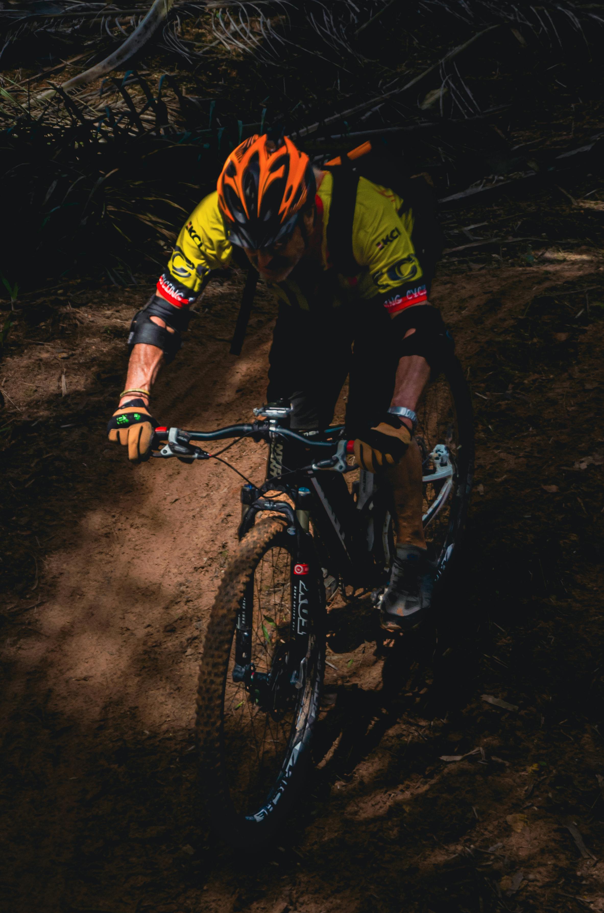 signals final project v2 Object Detection Dataset by SIGNALS