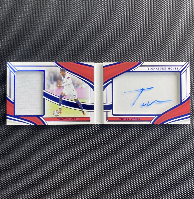 yolo-seg Instance Segmentation Dataset by YOLOv5