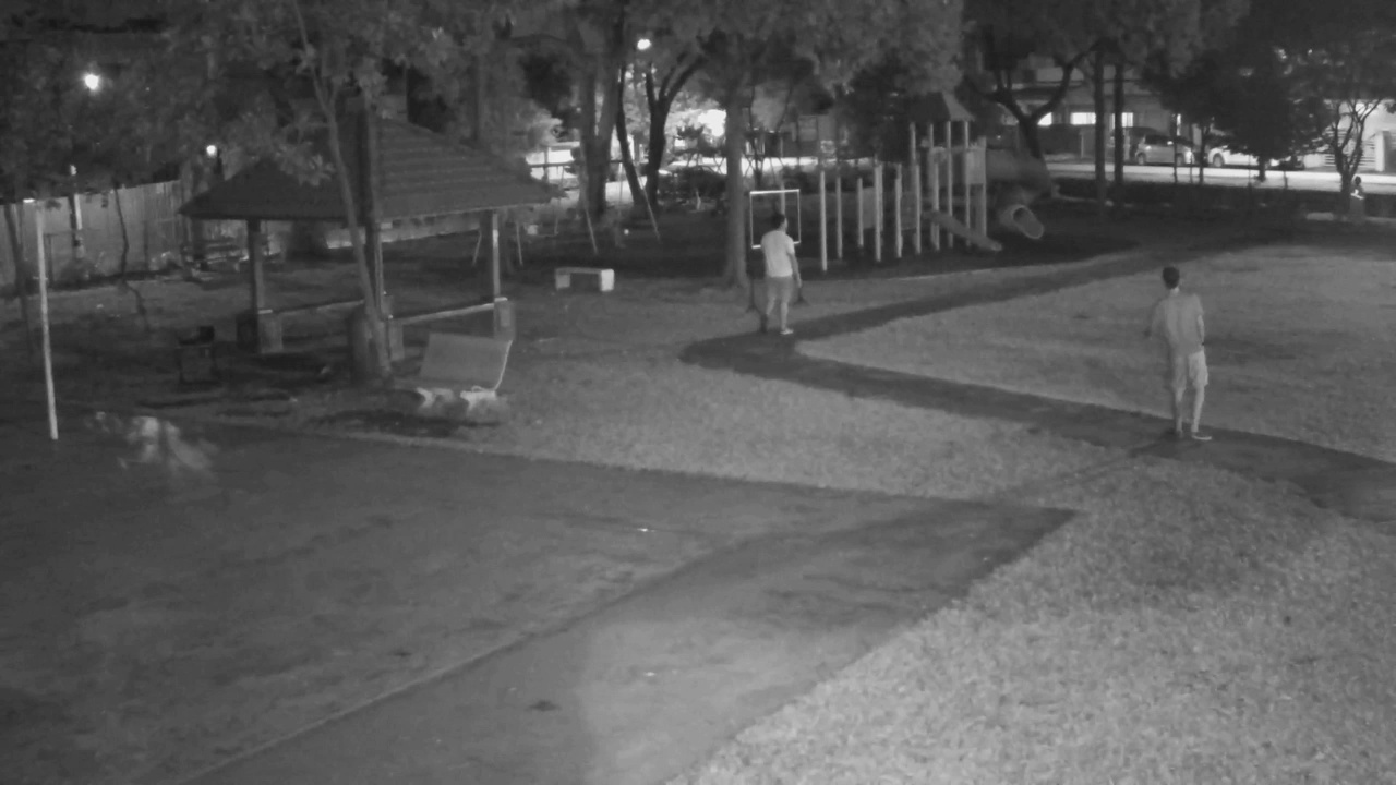 kisa_loitering Object Detection Dataset by dmeta