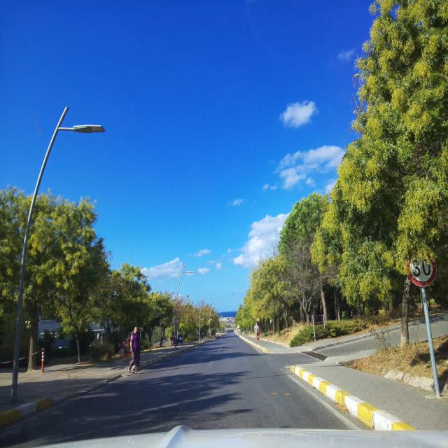 Driveable Area Test Instance Segmentation Dataset by BAEDynamix3