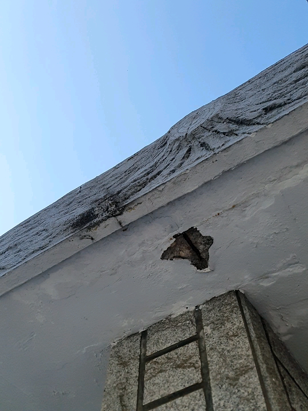 rebar_dando1 Instance Segmentation Dataset by rebardando1