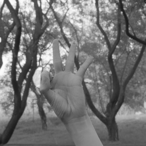 Sign Language Project Object Detection Model By Signlanguage