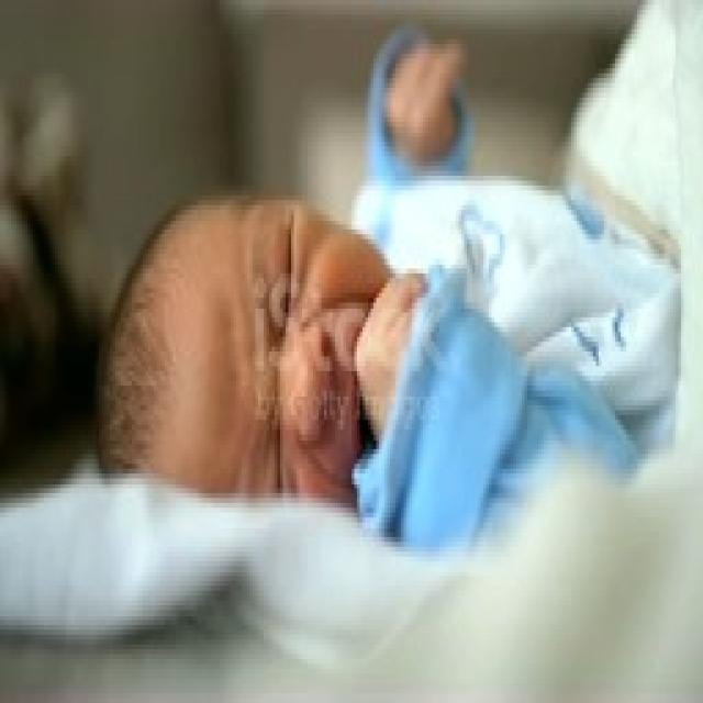 Emotion Detection For Infants Object Detection Model By Fyp