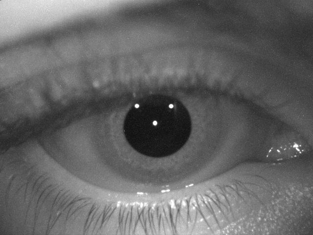 Pupil Object Detection Dataset By Hedenir