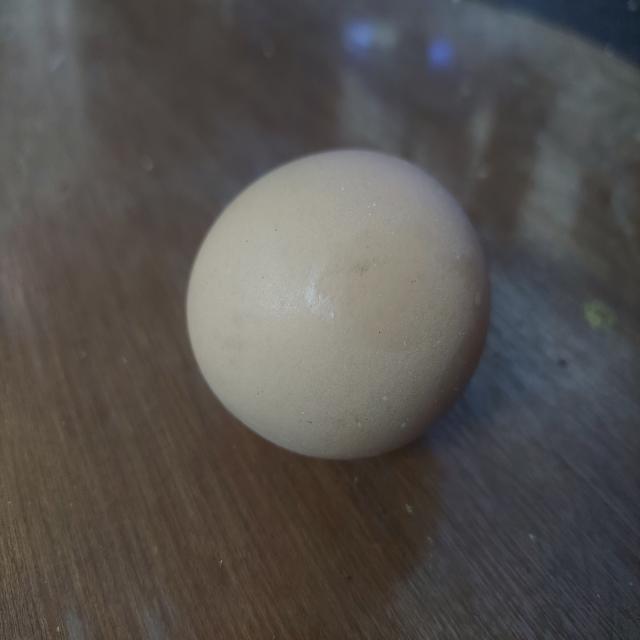 How to Use the smart_refrigerator Object Detection API