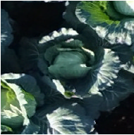 Cab_CenterNet Object Detection Dataset by Cabbage