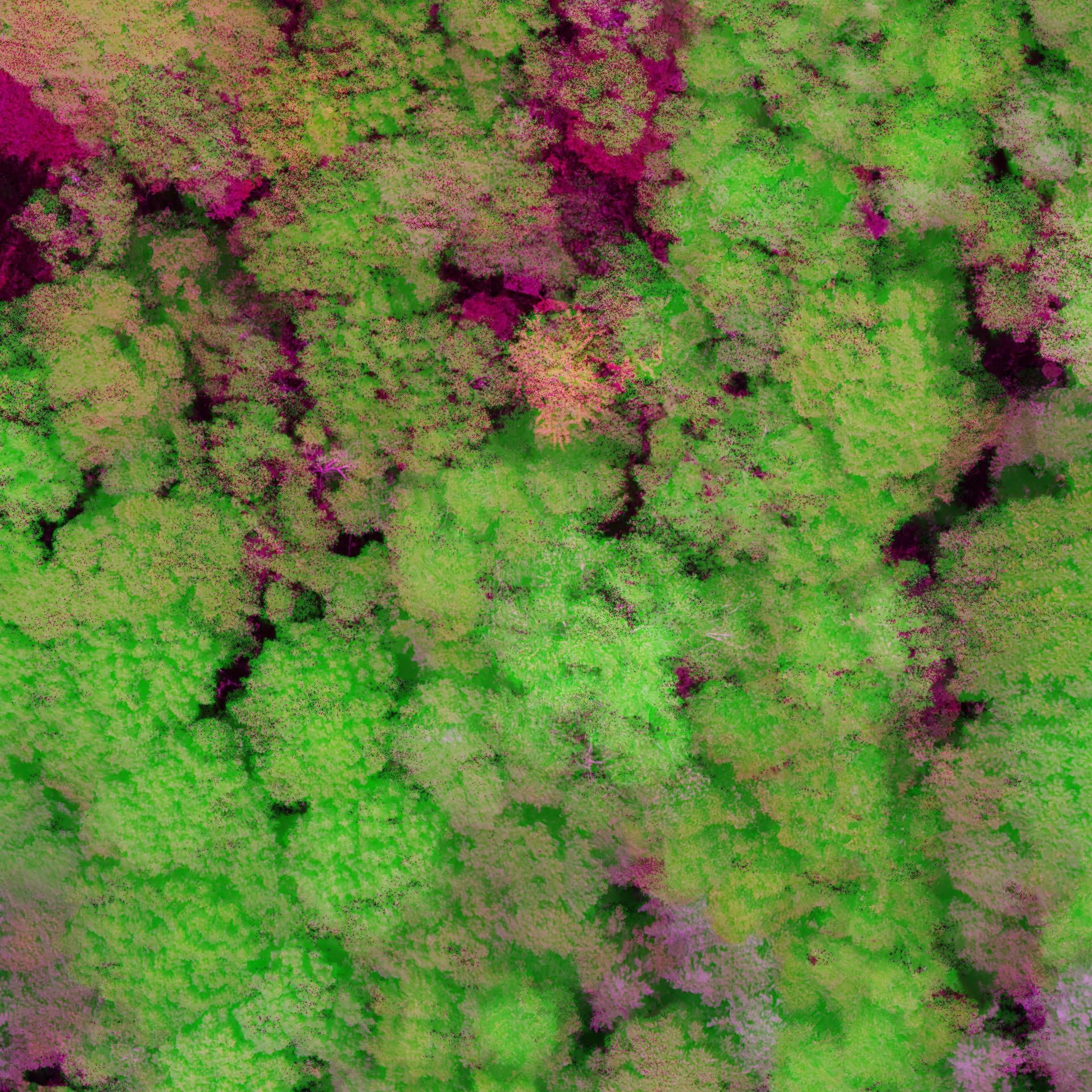 te Object Detection Dataset and Pre-Trained Model by AITU